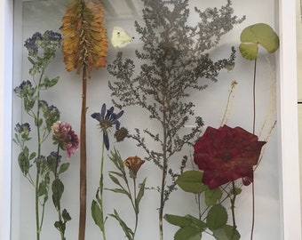 Pressed flower art | Etsy