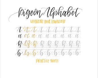 Lettering & Illustration Practice Sheets by ThePigeonLetters