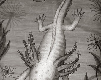 Axolotl art | Etsy