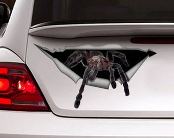 Spider decals | Etsy