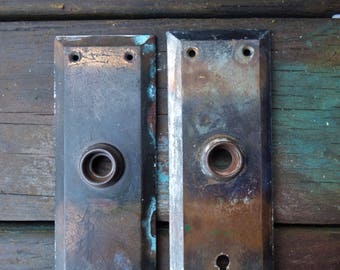 Skeleton plates | Etsy