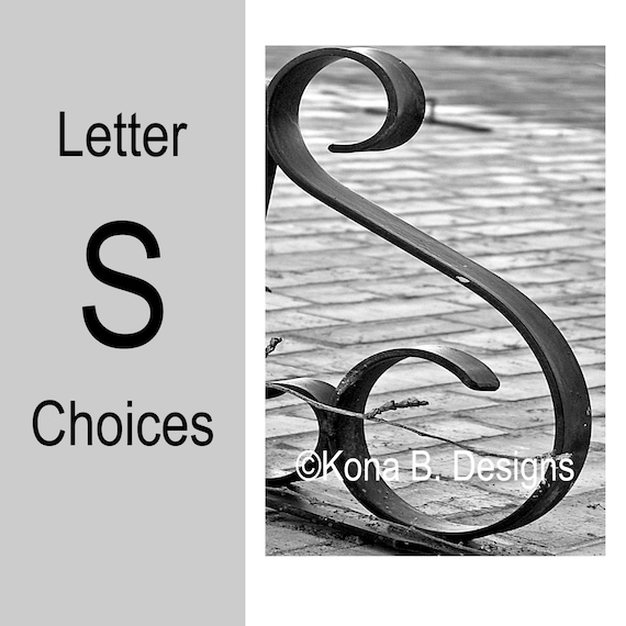 Letter S Alphabet Photography 4x6 Photo Letter