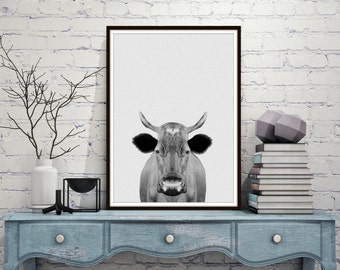 Cow Print Cow Art French Country Decor Farmhouse Decor