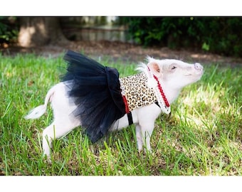 Mini pig clothes | Etsy