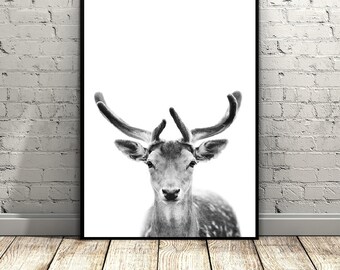 Deer print | Etsy