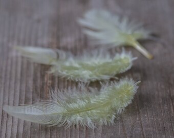 Lime green feathers | Etsy