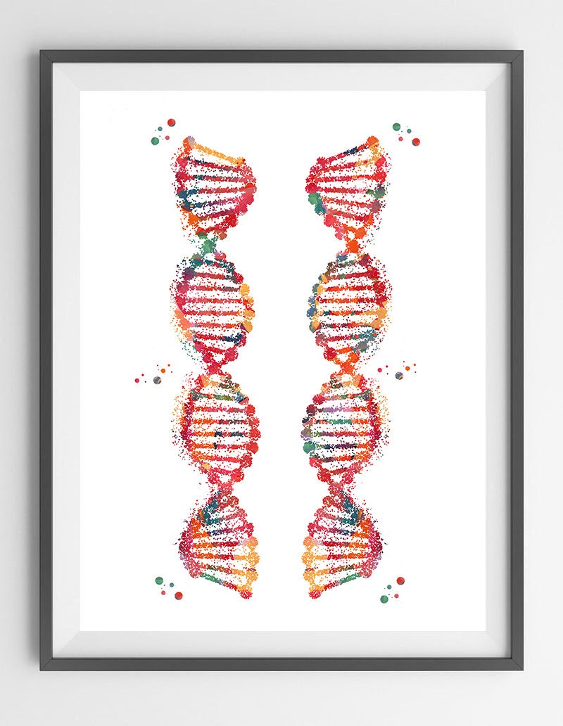 Dna Double Helix Watercolor Poster DNA art print science art