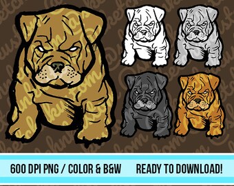 Bulldog clipart | Etsy