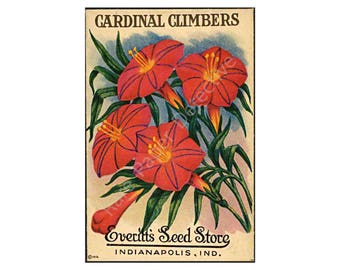 Seed packet sticker | Etsy