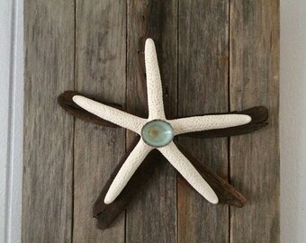 Starfish wall decor | Etsy