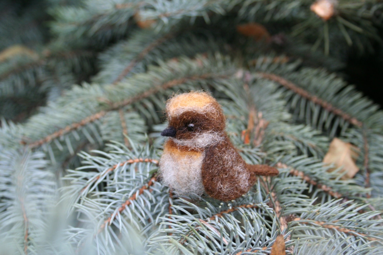 Needle felted bird. Little bird. Miniature. Needle felted