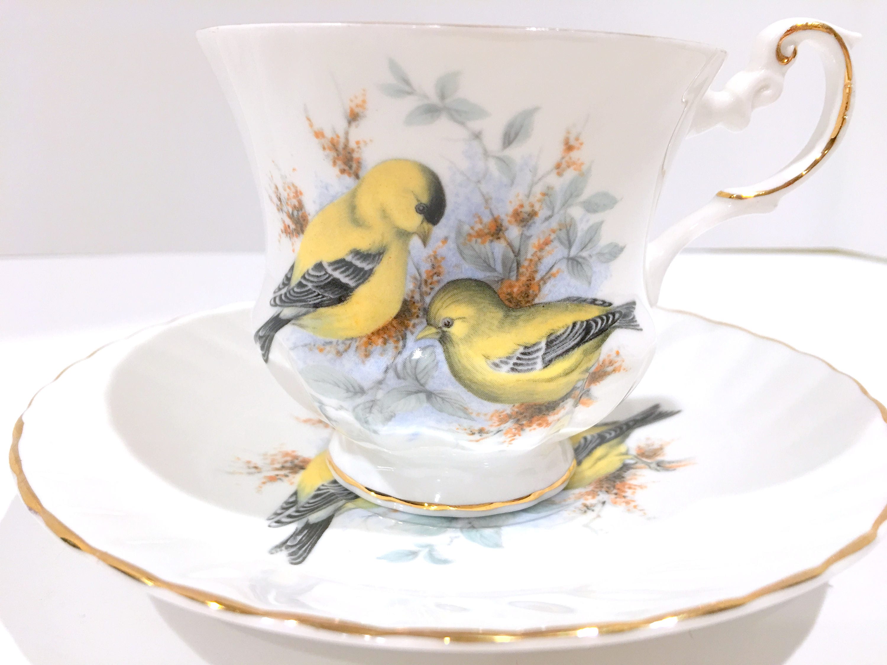 Bird Tea Cup and Saucer, Rosina Goldfinch Tea Cup, Bone China Cups ...