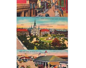 vintage cow print 'Beef and Dairy Cattle' a