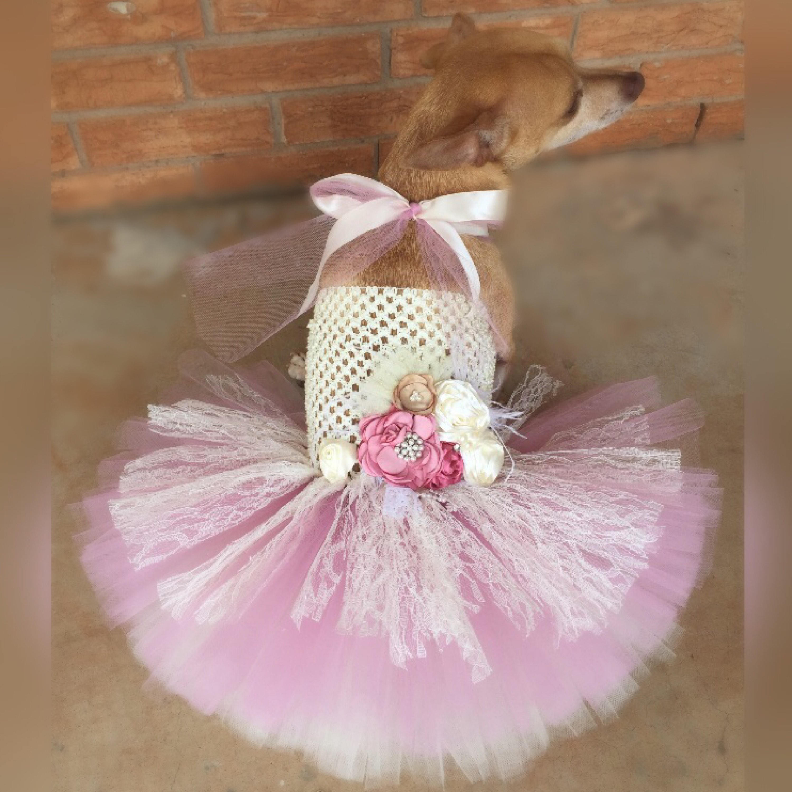 Fancy dog dress pageant show dog dress southern belle dog