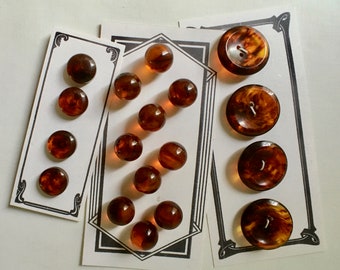 Tortoise shell | Etsy