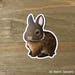 Agouti Netherland Dwarf bunny sticker printed chibi rabbit