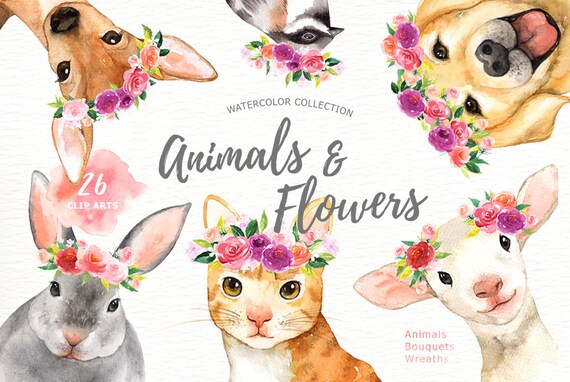 Animals and Flowers Watercolor Clip Art Woodland Animals