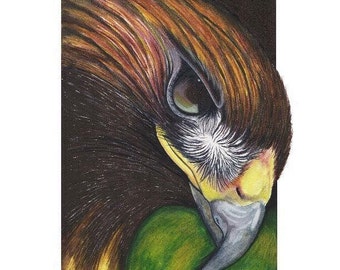 Drawing birds | Etsy