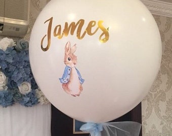 Peter rabbit party | Etsy