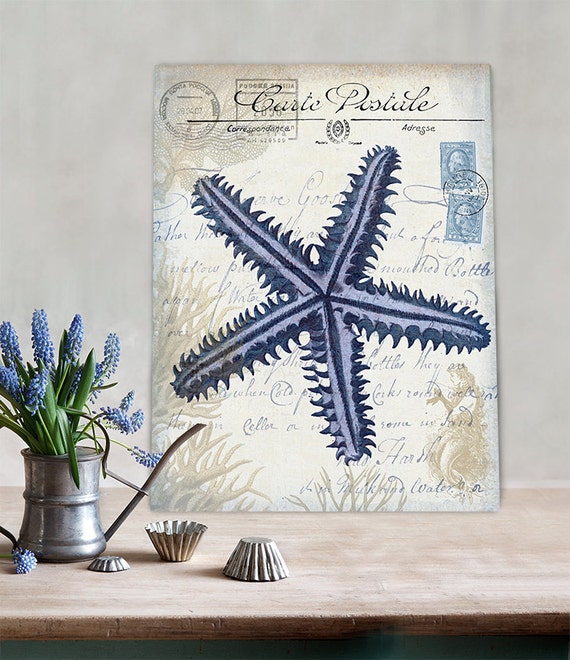 Blue Starfish Print Seaside Postcard series french décor