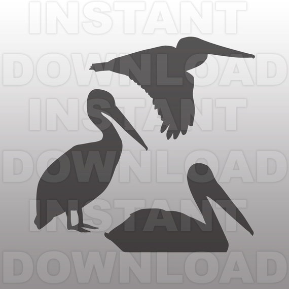 Pelican SVG FilePelicans SVG Bundle Vector Clip Art for