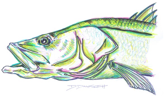Snook Art