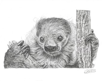 Faultier zeichnung | Etsy