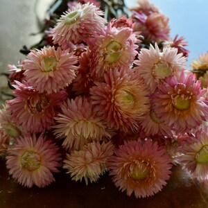 Dried flowers | Etsy