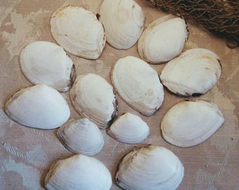 Santa barbara | Etsy