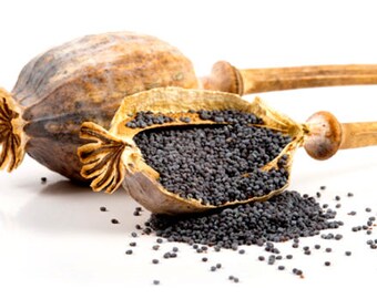 Linden Tea Organic Greek Tilio Herbal Tea Flowers Flamouri