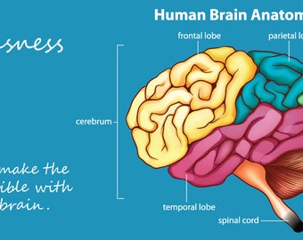 Manifest Easily With the Manifestation Paper Radionics Machine