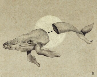 Whale drawing | Etsy