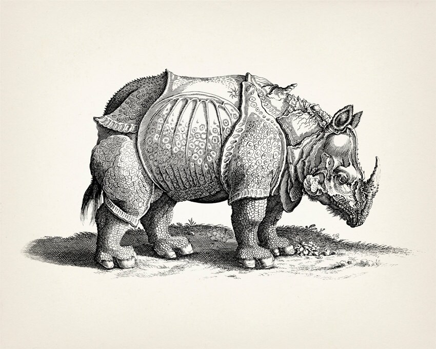 Durer's Rhino Engraving 1515 MA-07 Fine art print