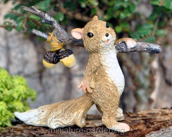 fairy garden squirrel miniature squirrel miniature garden