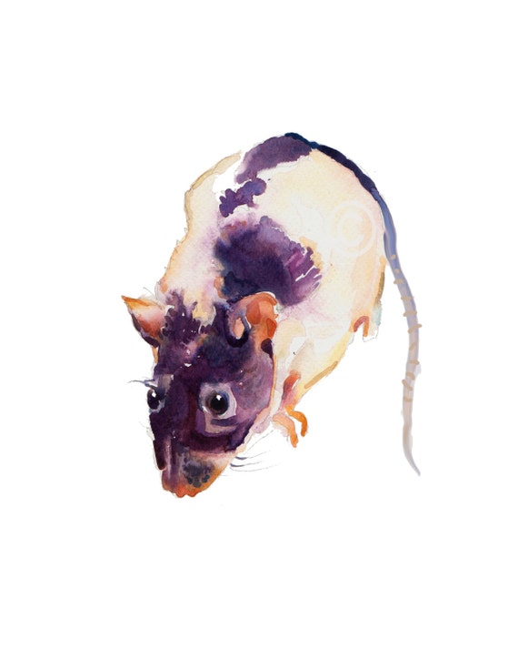 Rat Animal painting Size 8x10in Watercolor Painting