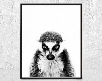 Lemur print | Etsy