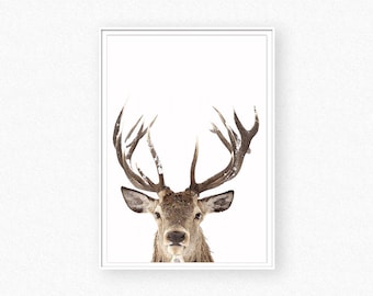 Deer head print | Etsy