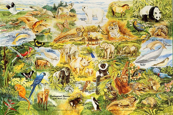 Endangered Species of the World Wall Map Poster