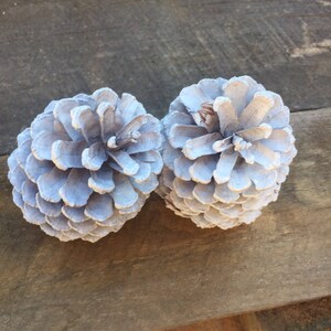 Painted pine cones | Etsy