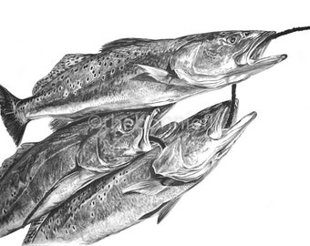 Saltwater fish art | Etsy