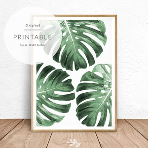 Monstera print | Etsy