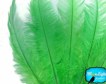 Lime green feathers | Etsy