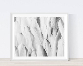 Feather art print | Etsy