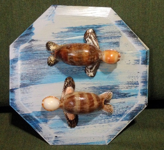 small Seashell Sea Turtles on painted Mirror / Sea Shell Sea