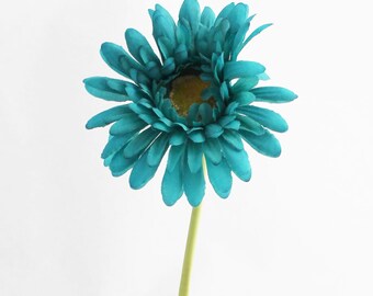 Blue gerbera daisy | Etsy