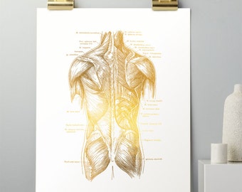 Physical therapy art | Etsy