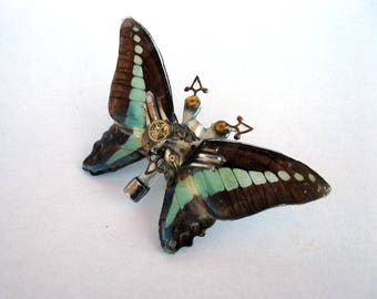 real elytra jewel beetle wing cases