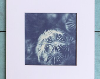 Cyanotype print | Etsy