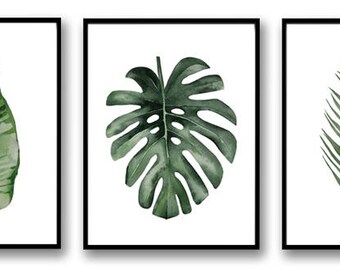 Tropical plants | Etsy