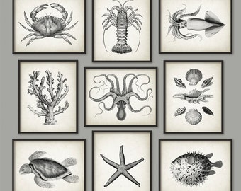 Marine Biology Print Set Of 4 Bathroom Decor Poster